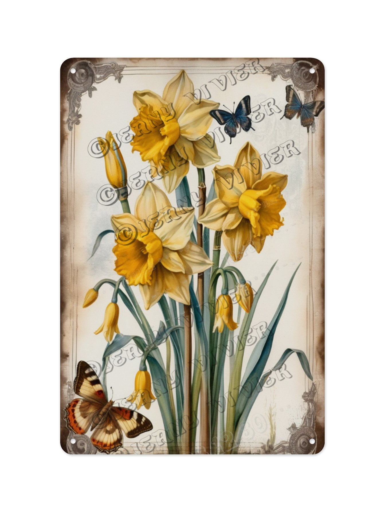 Daffodil Vintage Aluminum Sign 12x16 Inches - Elegant Daffodil Flower ...
