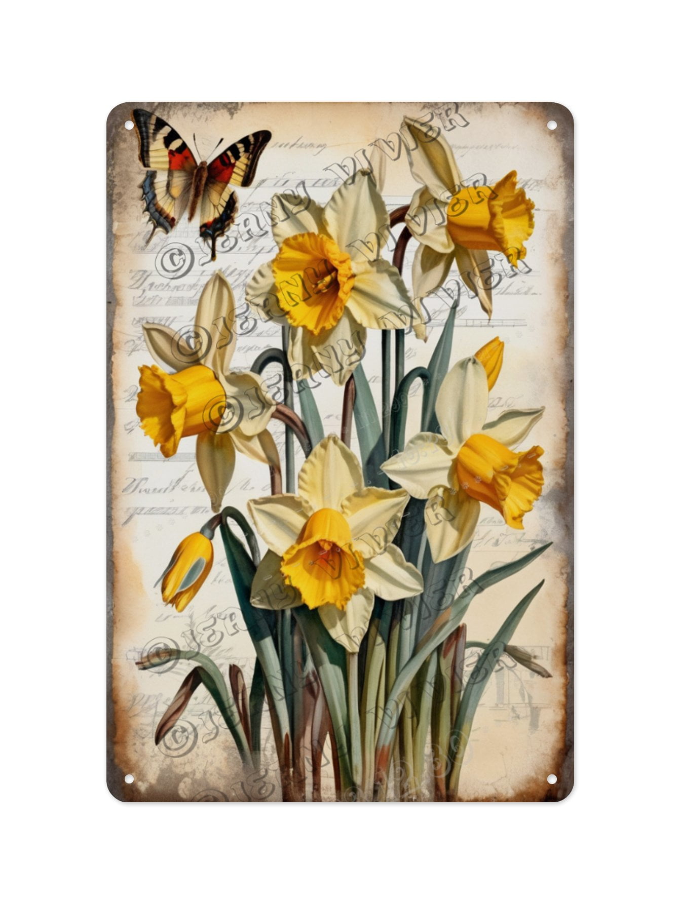 Daffodil Vintage Aluminum Sign 8x12 Inches - Beautiful Daffodil Decor ...