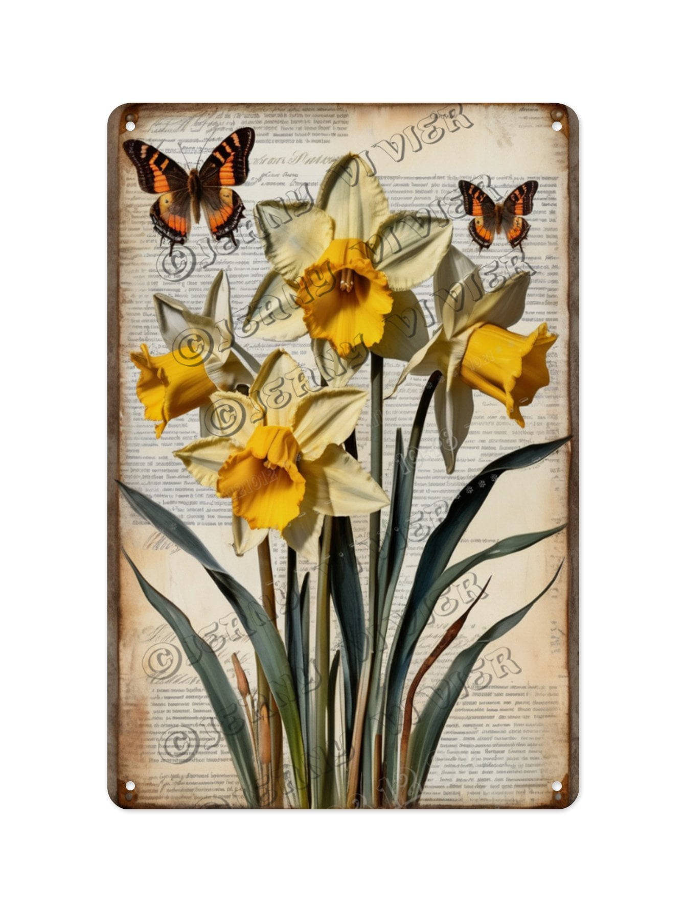 Daffodil Vintage Aluminum Sign 8x12 Inches - Charming Daffodil wall ...
