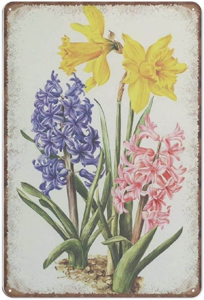 Daffodils And Hyacinths Botanical Tin Signs from 1964, Vintage Spring ...