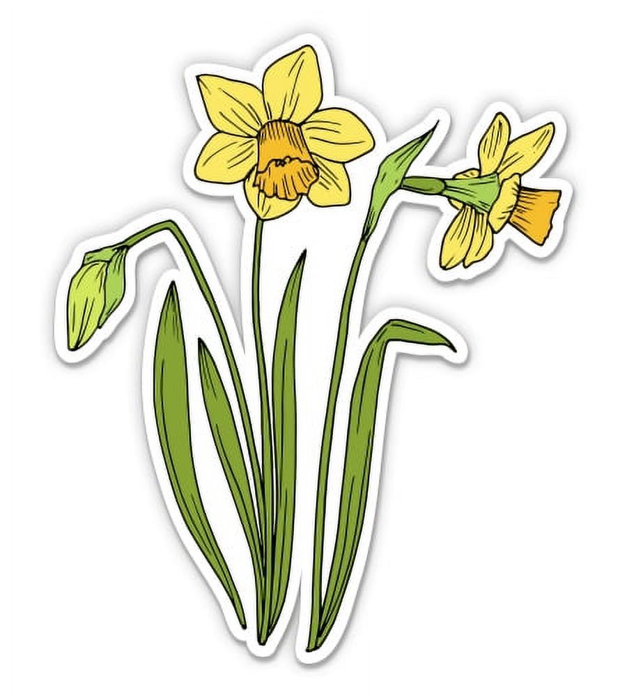 Daffodils Pretty Spring Flowers - 8" Vinyl Sticker - For Car Laptop I ...