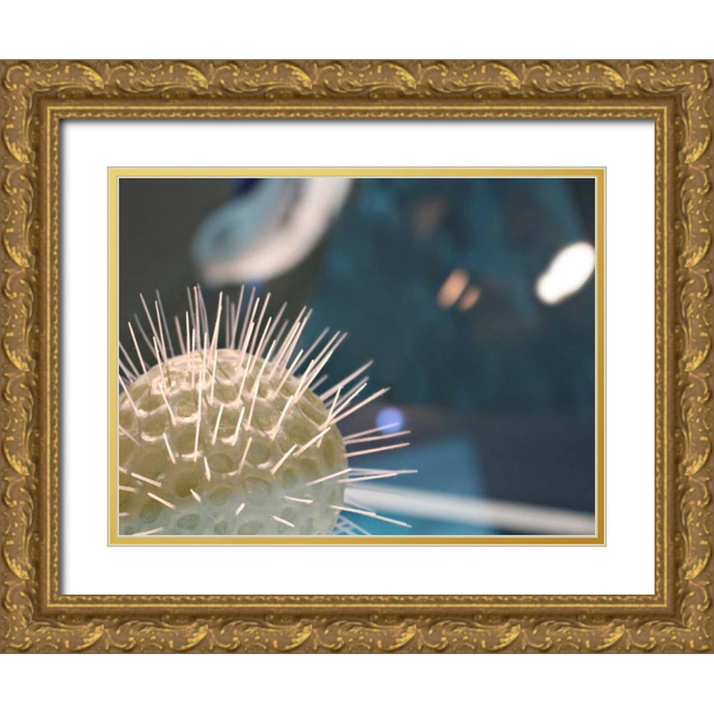 Dag, Inc. 14x12 Gold Ornate Wood Framed with Double Matting Museum Art ...