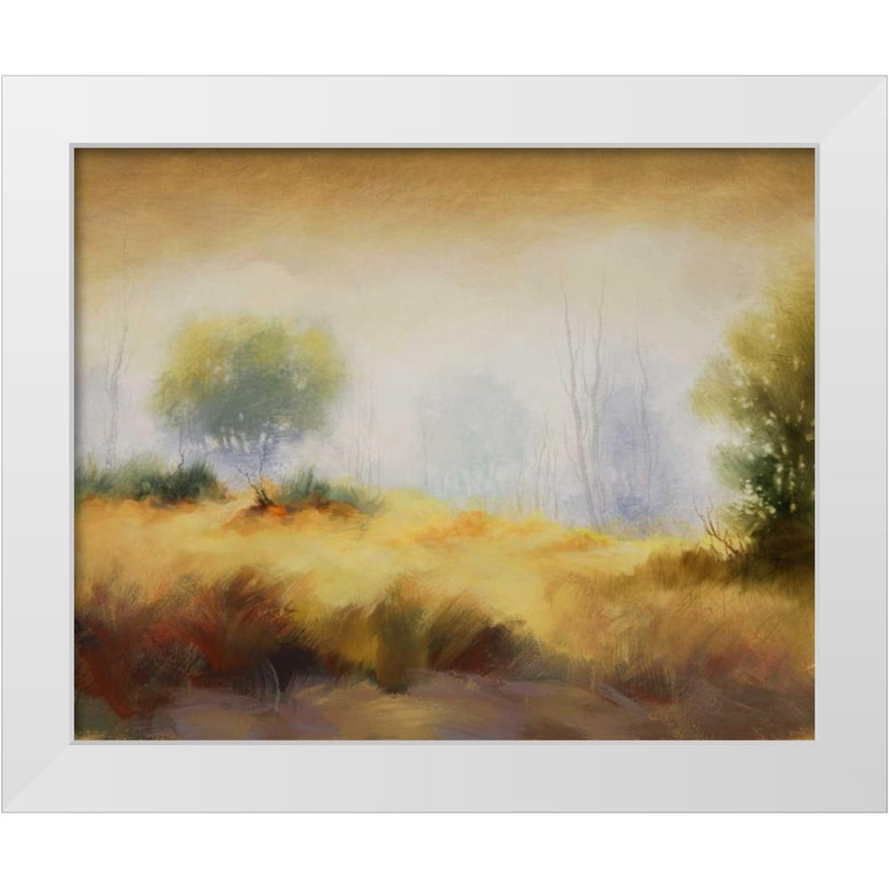 Dag, Inc. 14x12 White Modern Wood Framed Museum Art Print Titled ...