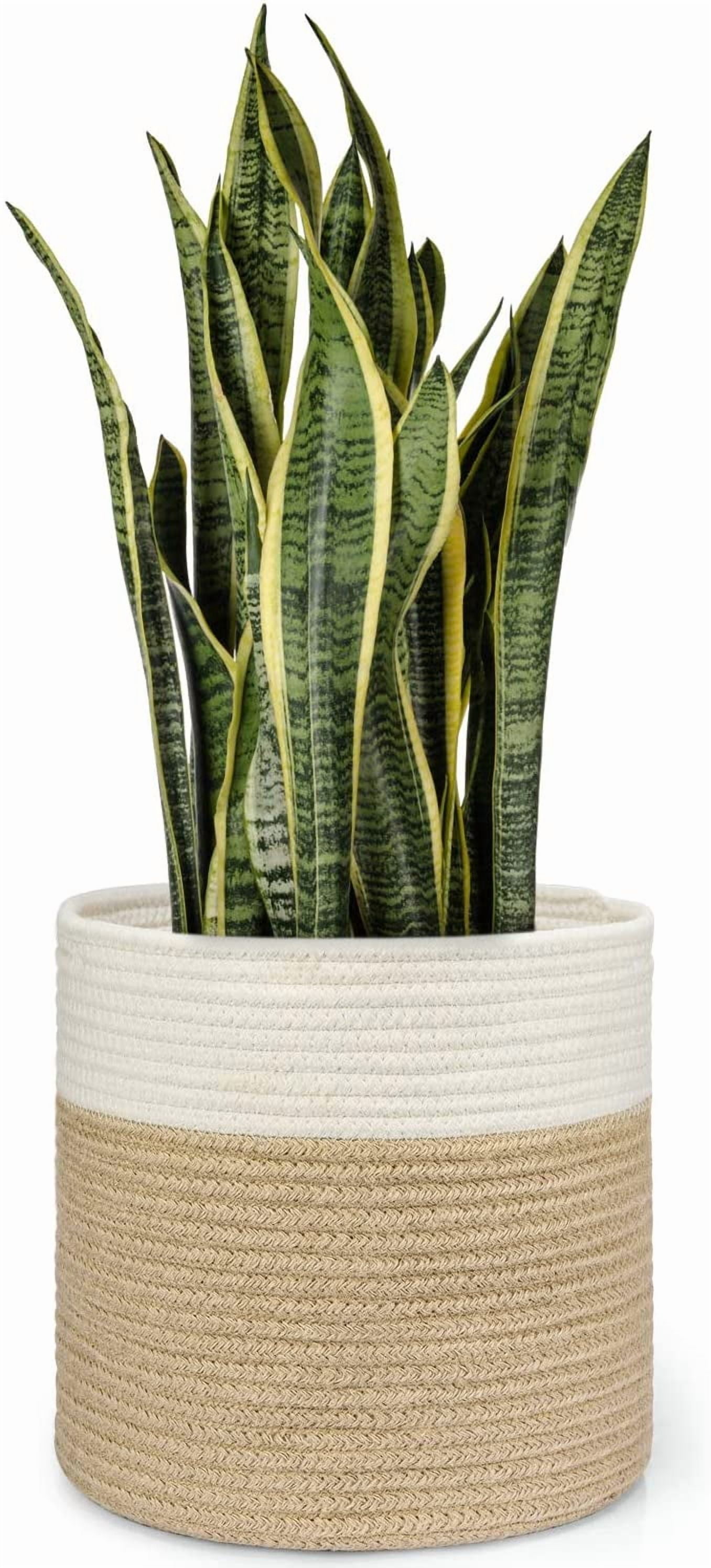 Dahey Jute Spliced Cotton Rope Plant Basket Modern Woven Storage Basket ...