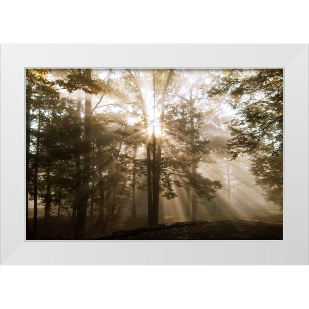 Dahlgren, Ann 18x13 White Modern Wood Framed Museum Art Print Titled ...