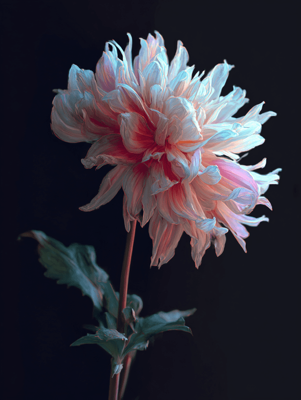 Dahlia Flower Canvas Print Wall Art for Living Room Office Hotel ...