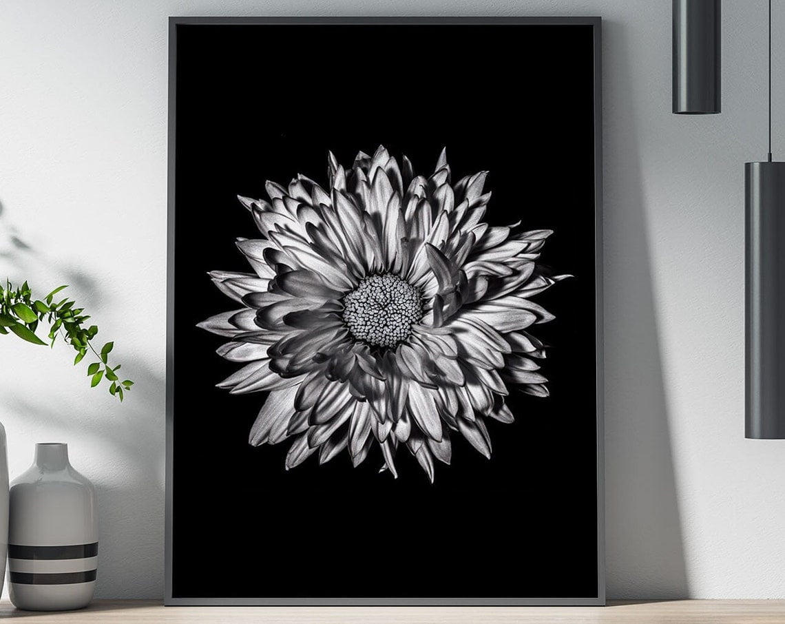 Dahlia Poster, Poster Print, Wall Decor, Dahlia, Black And White ...