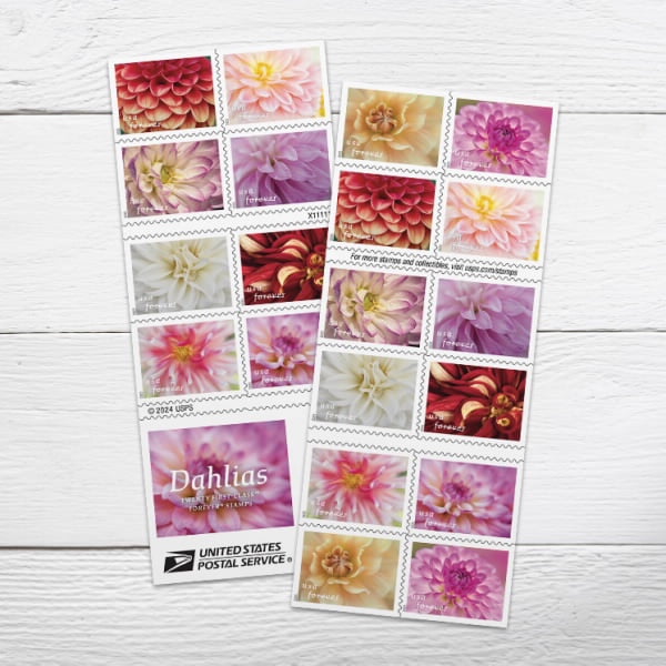 Dahlias USPS Forever Postage Stamp 5 Books of 20 US First Class ...