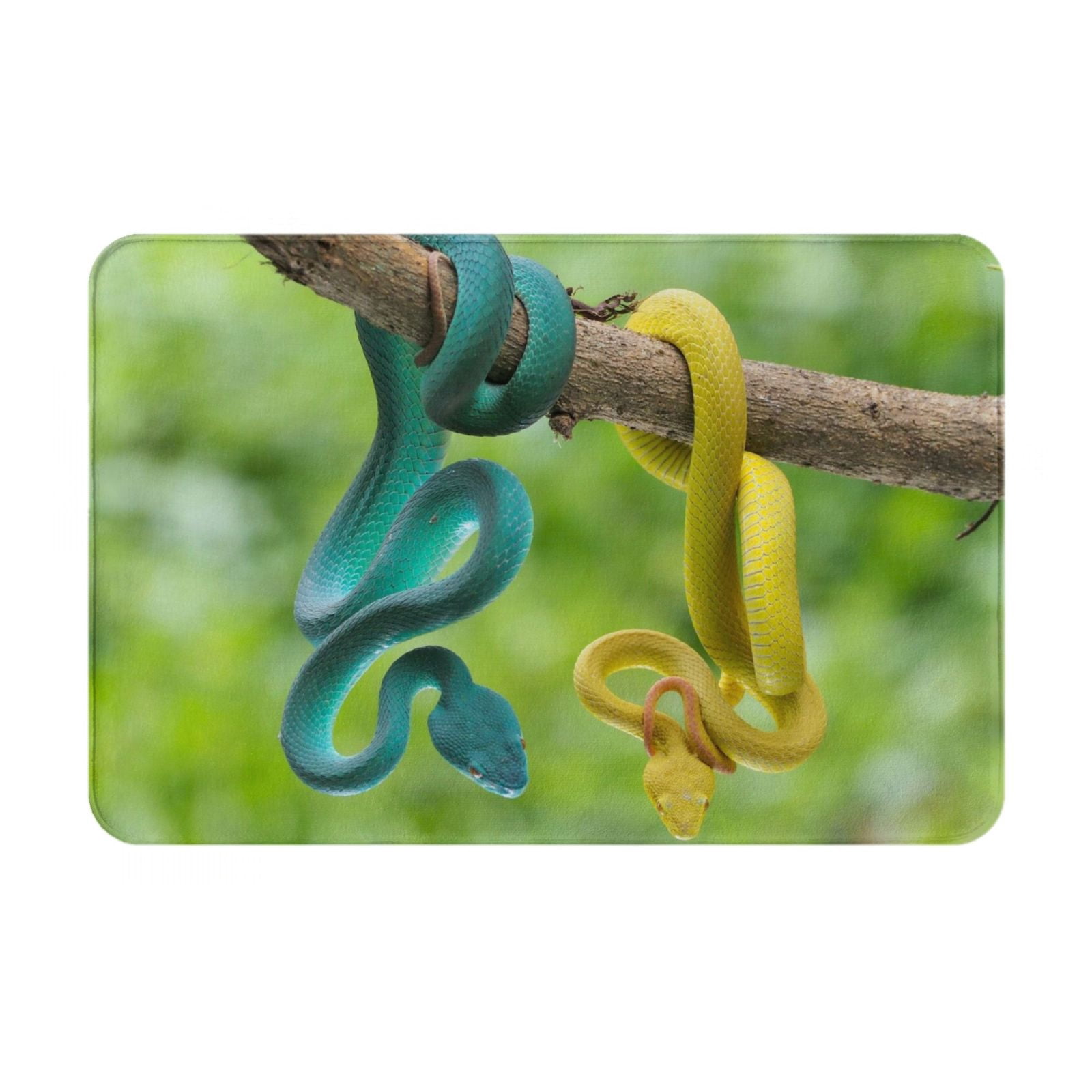 Daiia Blue Viper And Yellow Viper Snake Front Door Mat, Heavy Duty ...