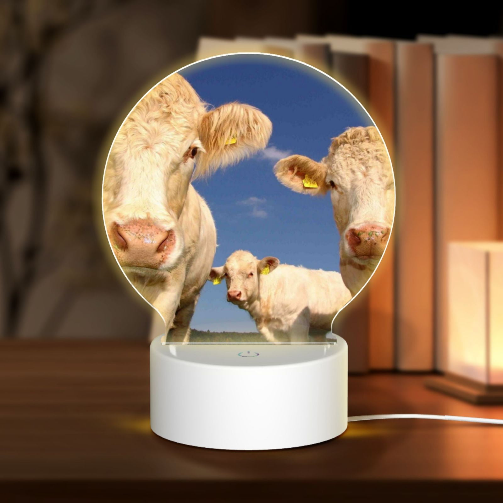 Daiia Cows Cattles Pattern Acrylic Night Light, LED Touch Light ...