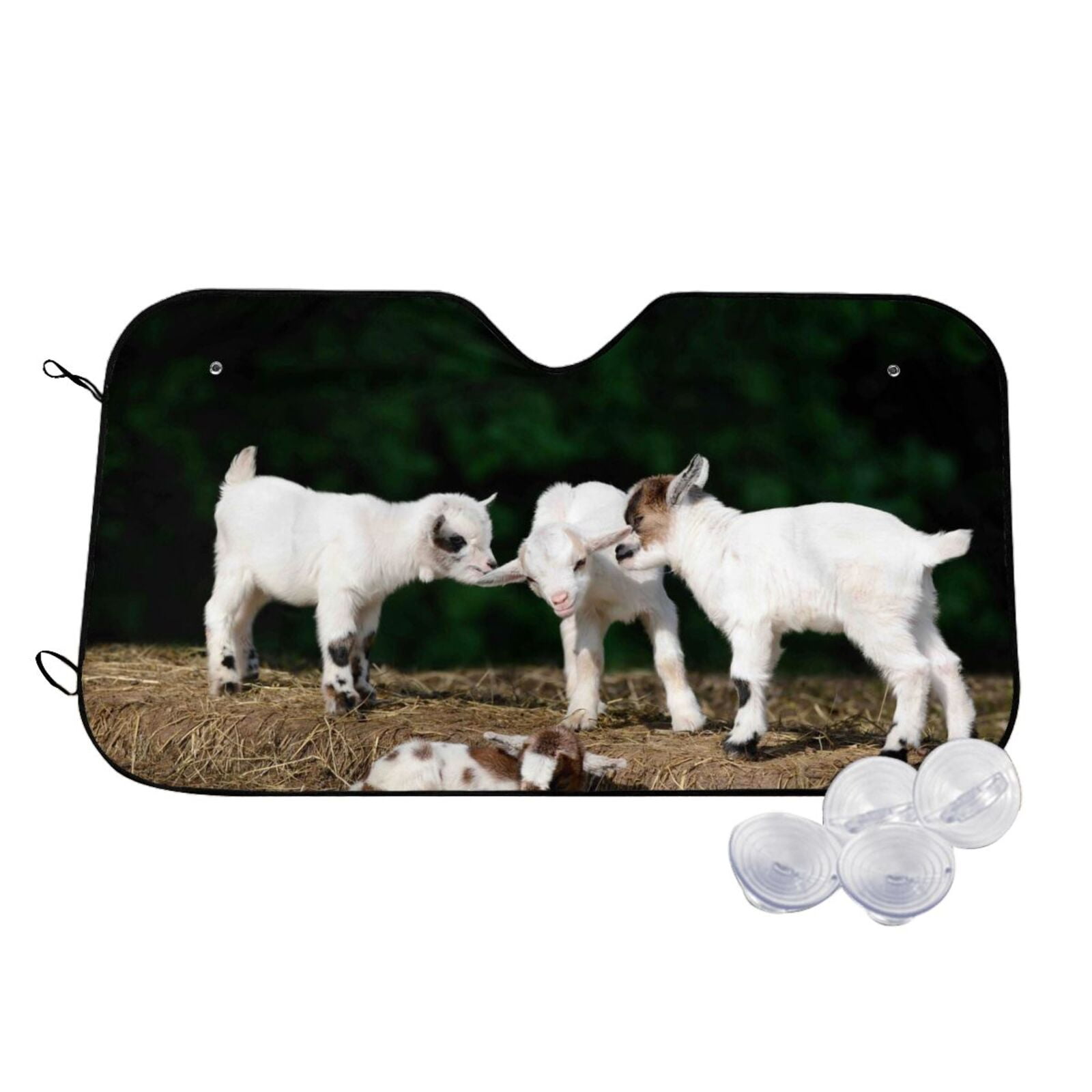 Daiia Cute Goat Baby Windshield Sun Shade for Car SUV Truck (Medium ...