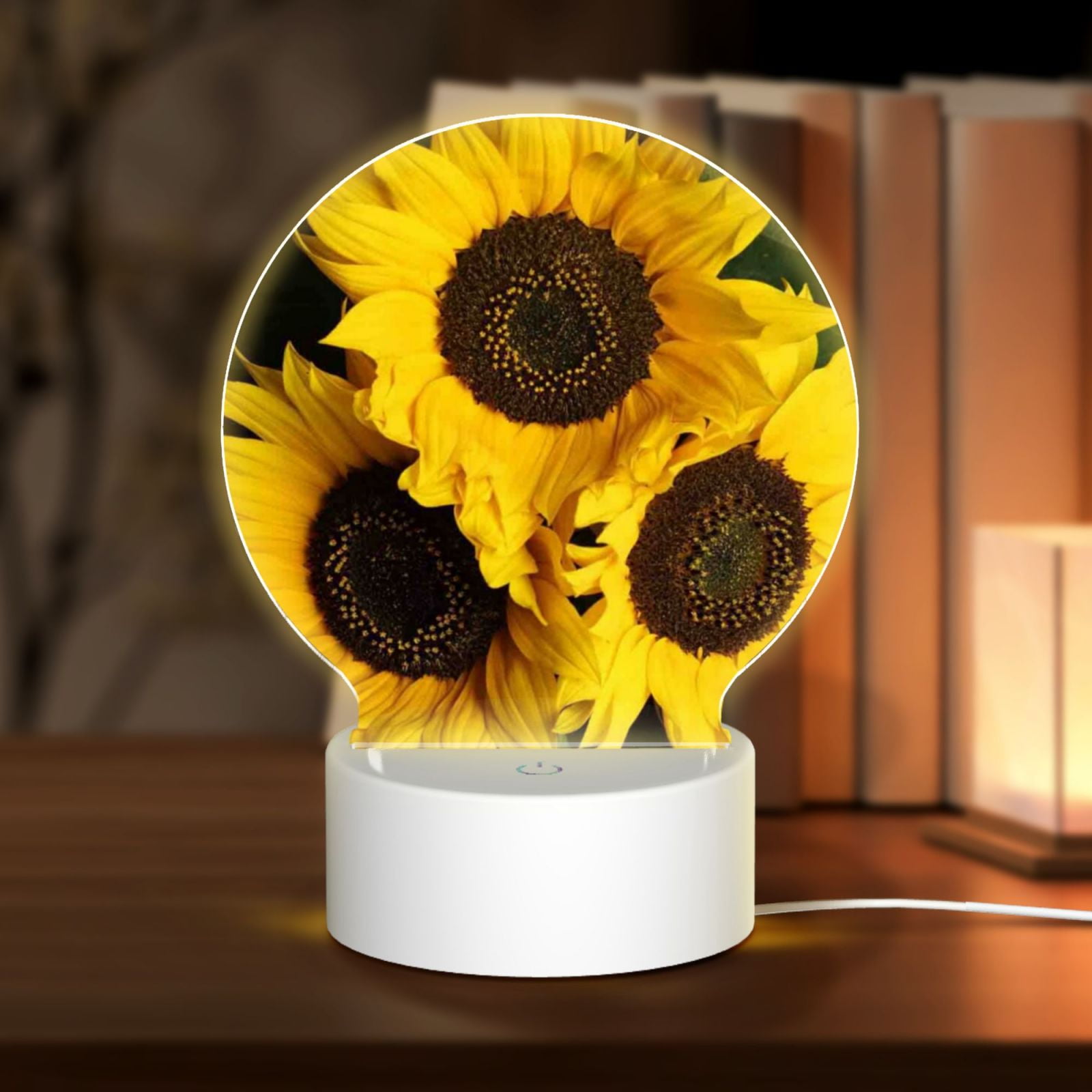 Daiia Japanese Were Blossoming Pattern Acrylic Night Light, LED Touch ...