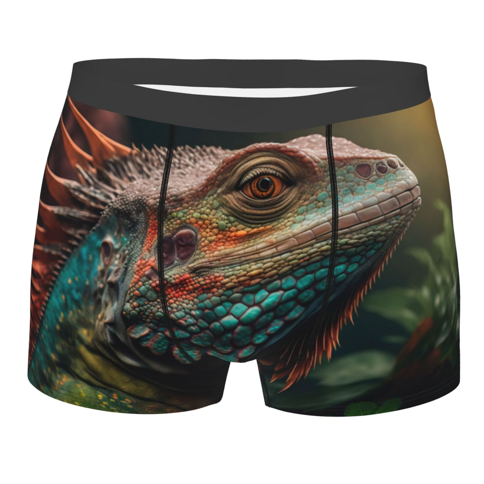 Daiia Realistic Colorful Chameleon Men's Underwear Boxer Briefs, Cotton ...