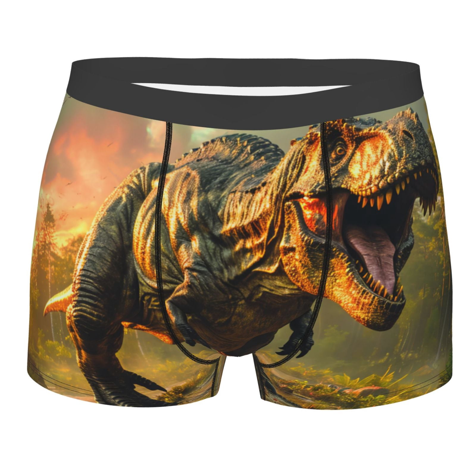 Daiia Realistic Style Forest Dinosaur Men's Underwear Boxer Briefs ...