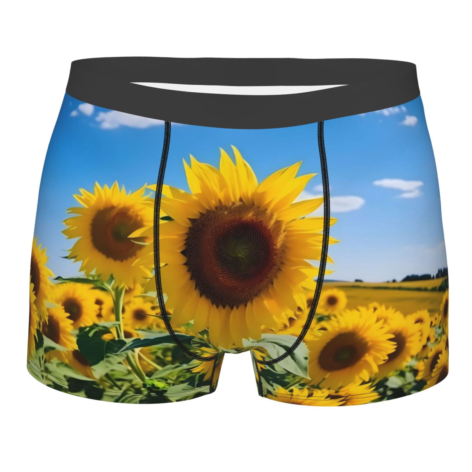 Daiia Sky Golden Sunflower Field B Men's Underwear Boxer Briefs, Cotton ...
