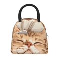 Daiia Sleeping Cat In Blanket Pattern Lunch Bag , Insulated Lunch Box ...
