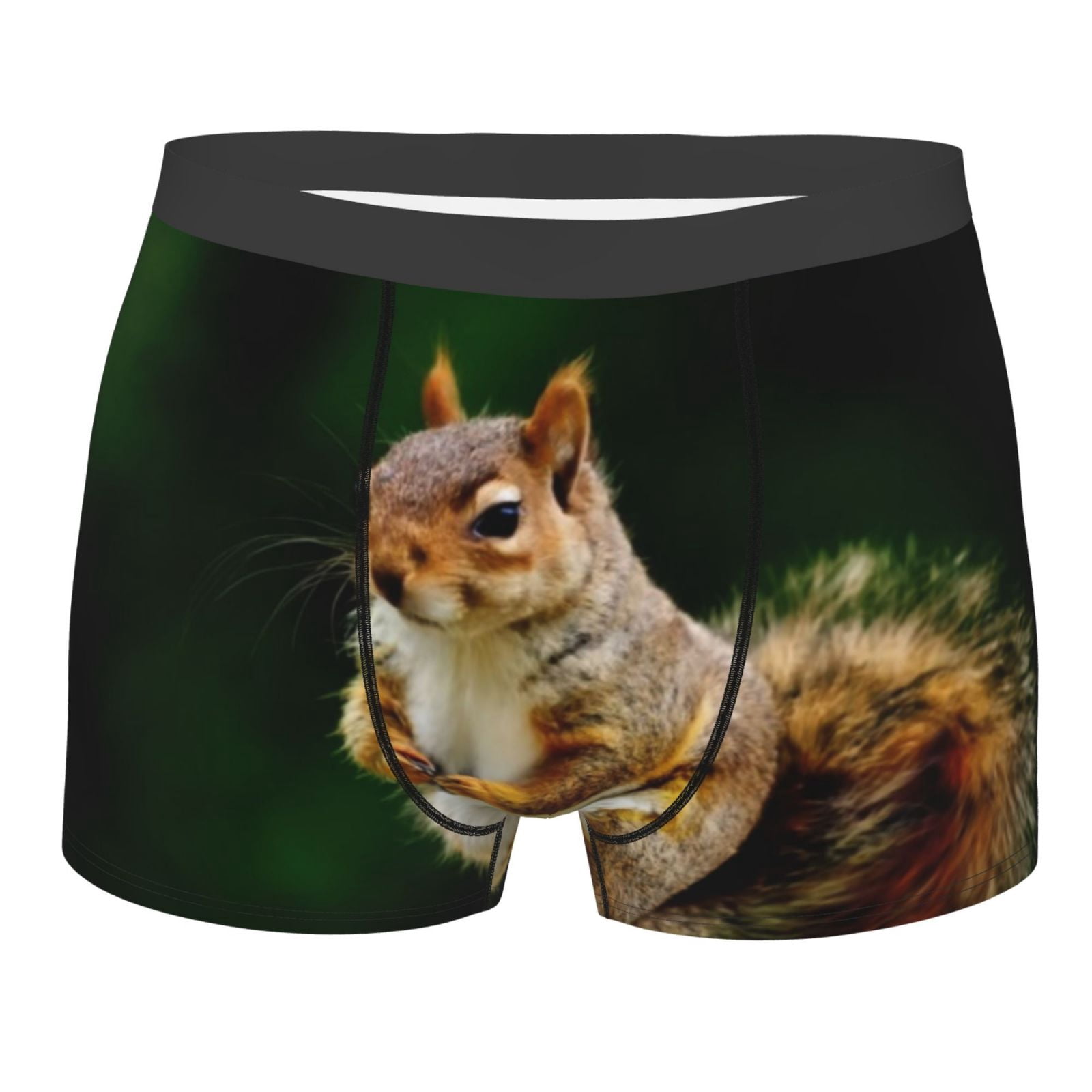 Daiia Squirrels Eating Peanuts On The Tree Men's Underwear Boxer Briefs ...