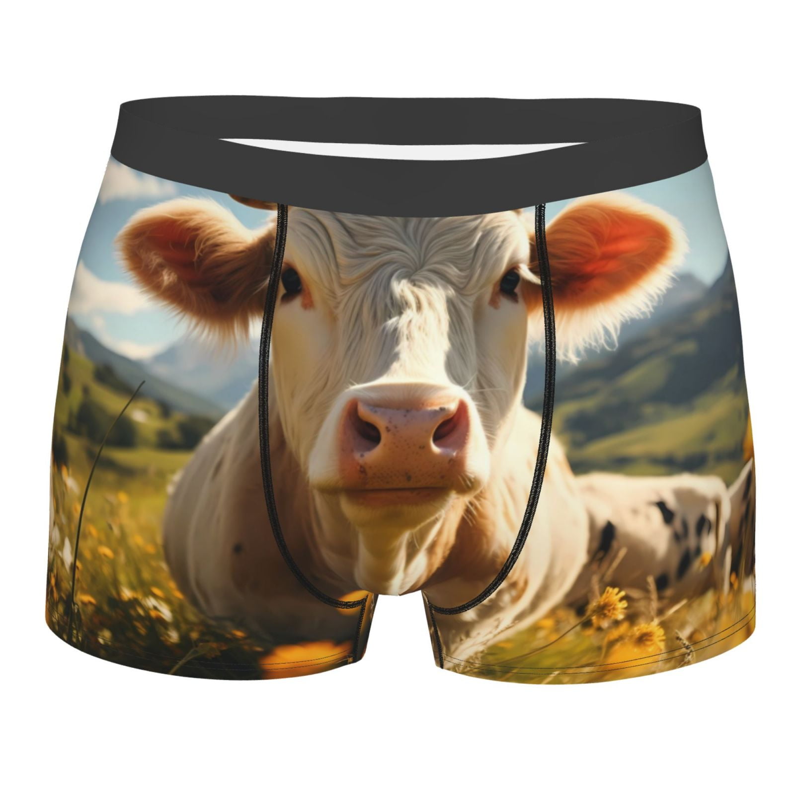 Daiia Sunflower Cow Pasture Men's Underwear Boxer Briefs, Cotton ...