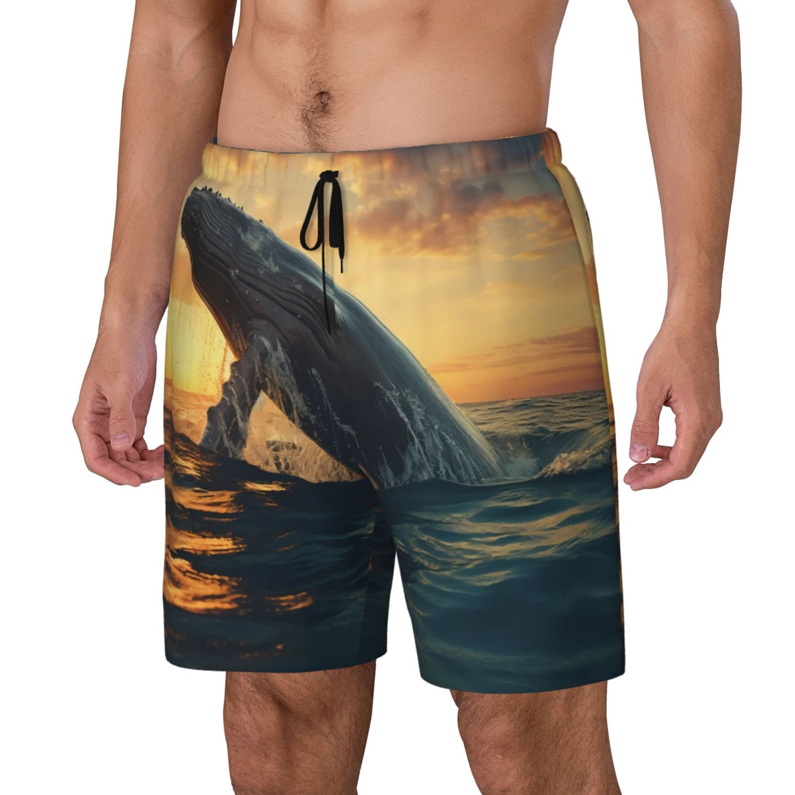 Daiia Sunset Ocean Whale Mens Swim Trunks Swim Shorts Quick Dry Swim ...