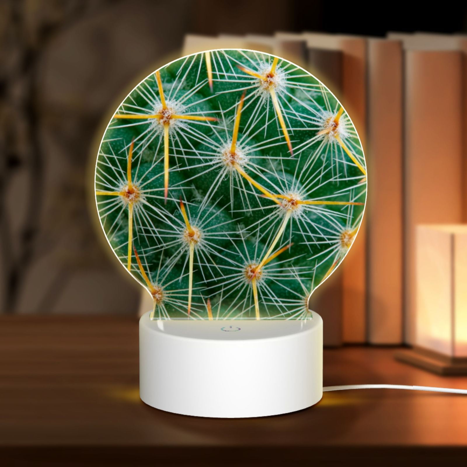 Daiia Thorns Of Macro Cactus Pattern Acrylic Night Light, LED Touch ...