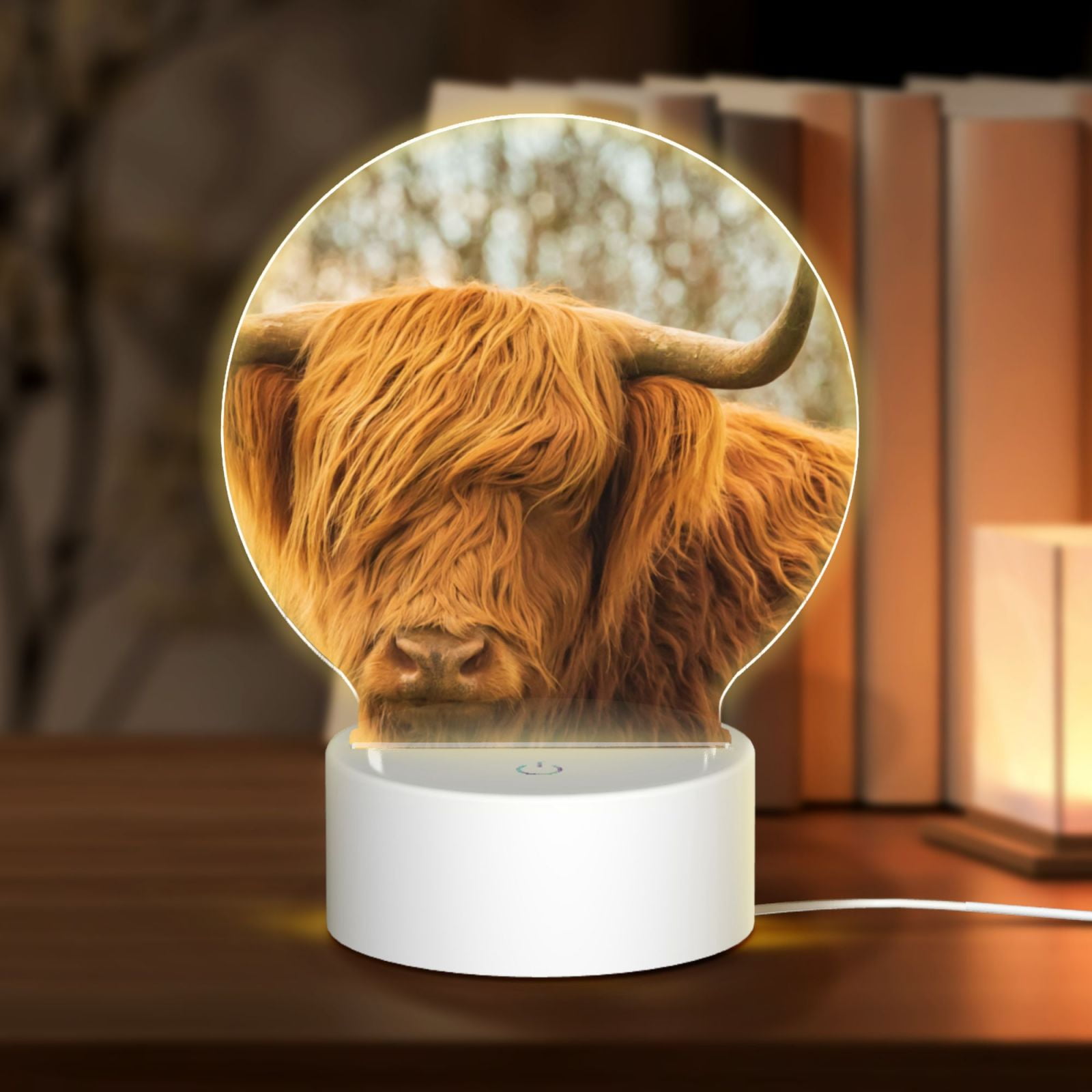 Daiia Yak Pattern Acrylic Night Light, LED Touch Light, Bedroom Night ...