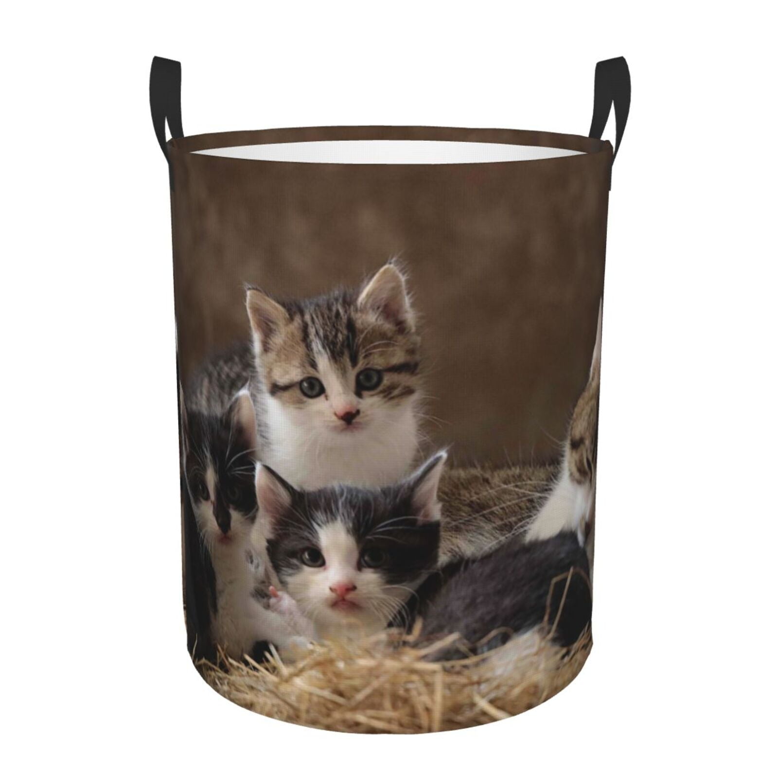 Daiia cat Family Laundry Hamper With Handles Large Storage Basket/Toy ...