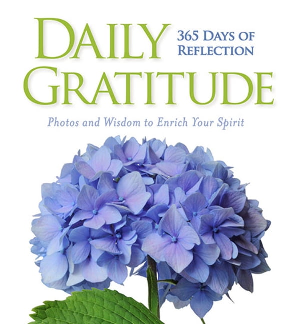 Daily Gratitude: 365 Days of Reflection (Hardcover) - Walmart.com