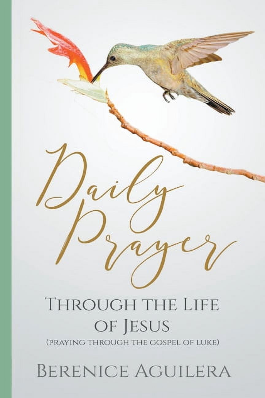 Daily Prayer Daily Prayer through the Life of Jesus (Praying through ...