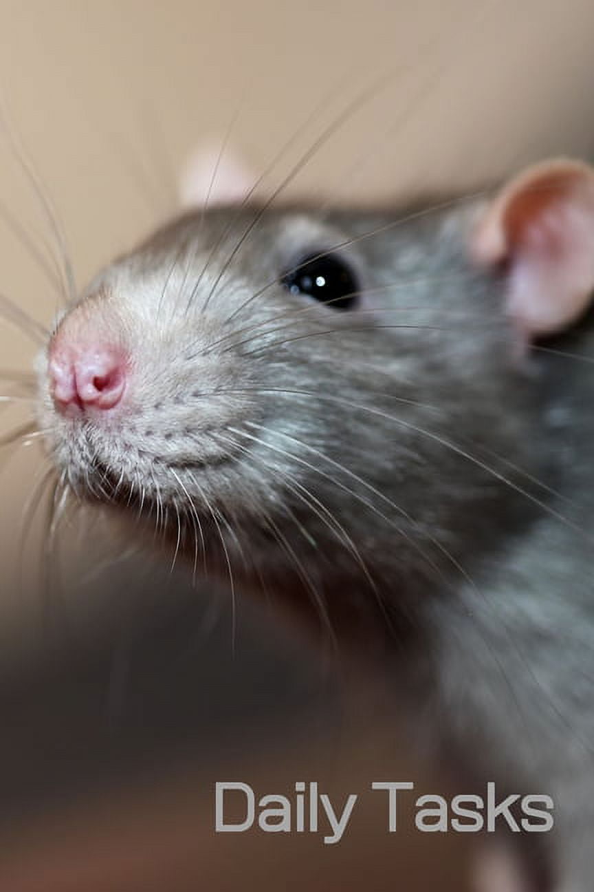 Daily Tasks (6x9inch): Cute Rat Book; Daily Checklist for Organisation ...