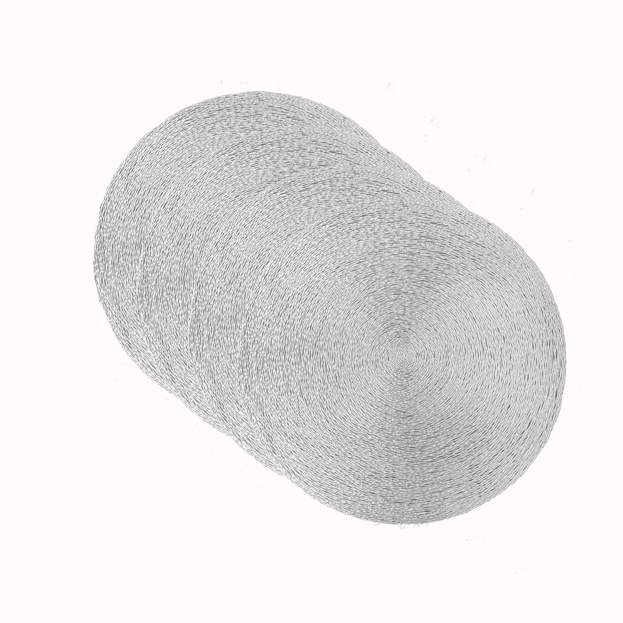 Dainty Home Regency Reversible Metallic Lace Round Placemats Set of 4 ...