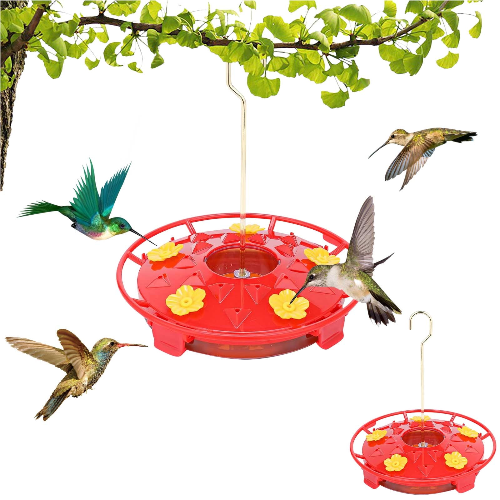 Daiosportswear 2025 New Hummingbird Feeders New Bird Feeding Device ...