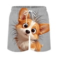Daiosportswear Men's Summer Casual Novelty Print Board Shorts with ...