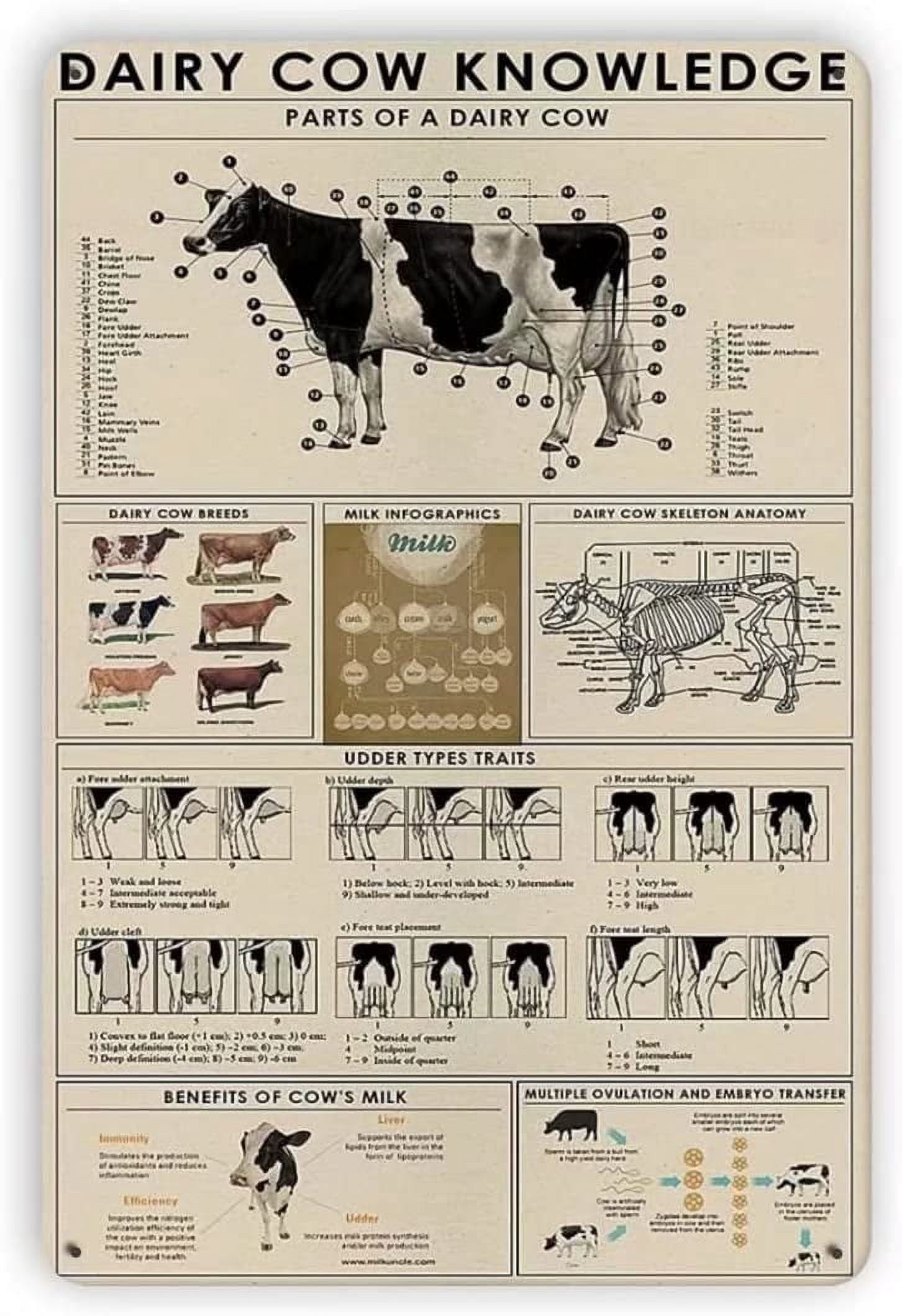 Dairy Cow Knowledge Posters Science Guide Metal Aluminium Signs Retro ...