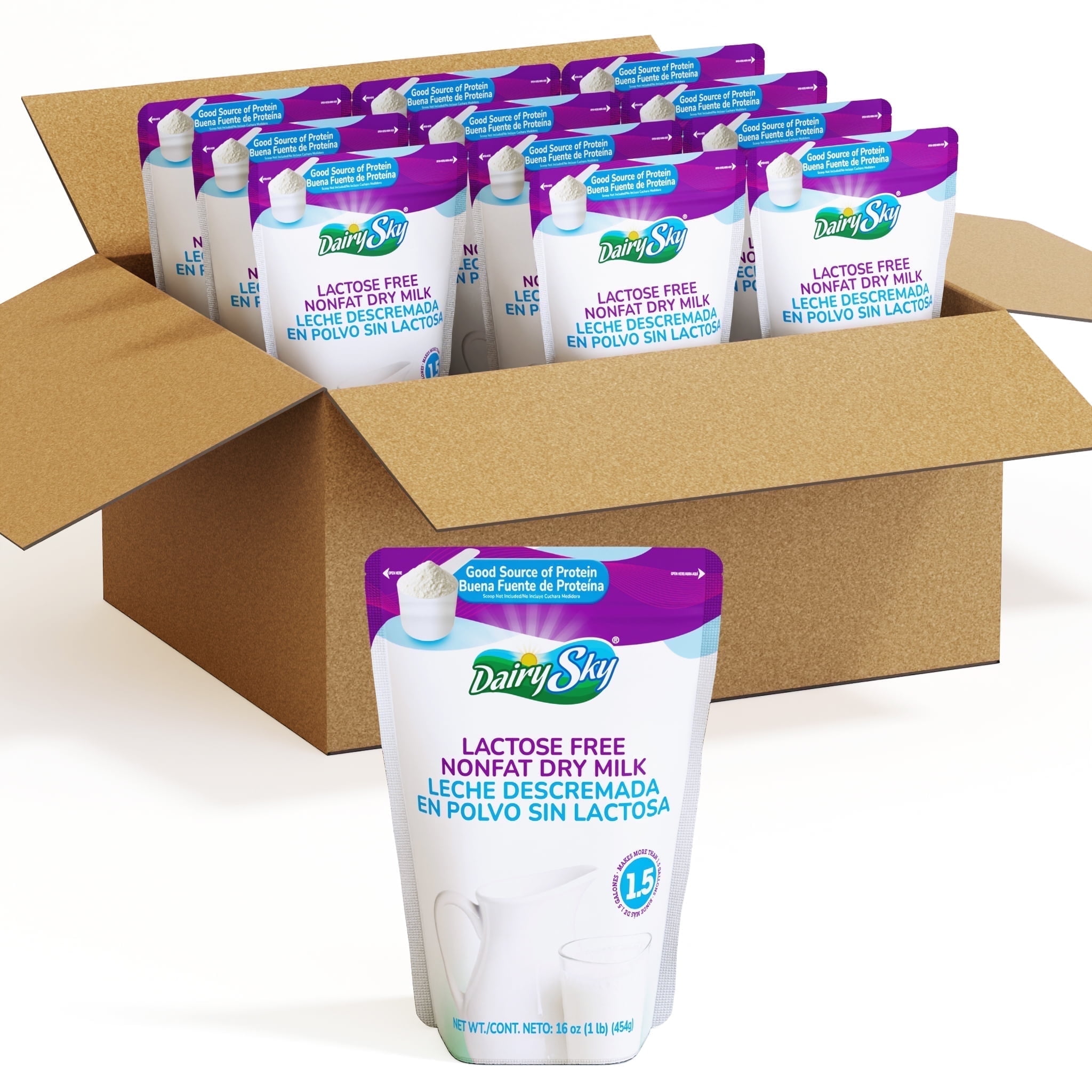 DairySky Lactose-Free Nonfat Dry Milk Powder, Plain Flavor, 16 oz ...