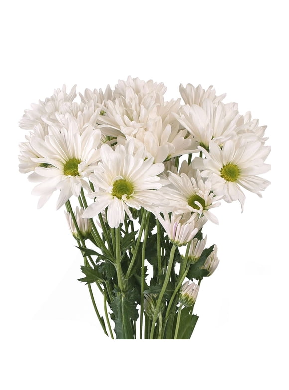 All Flowers in Flower Shop - Walmart.com