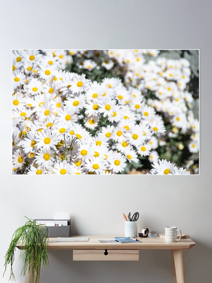 Daisies For Days Poster Wall Art, Modern Wall Decor For Living Room ...