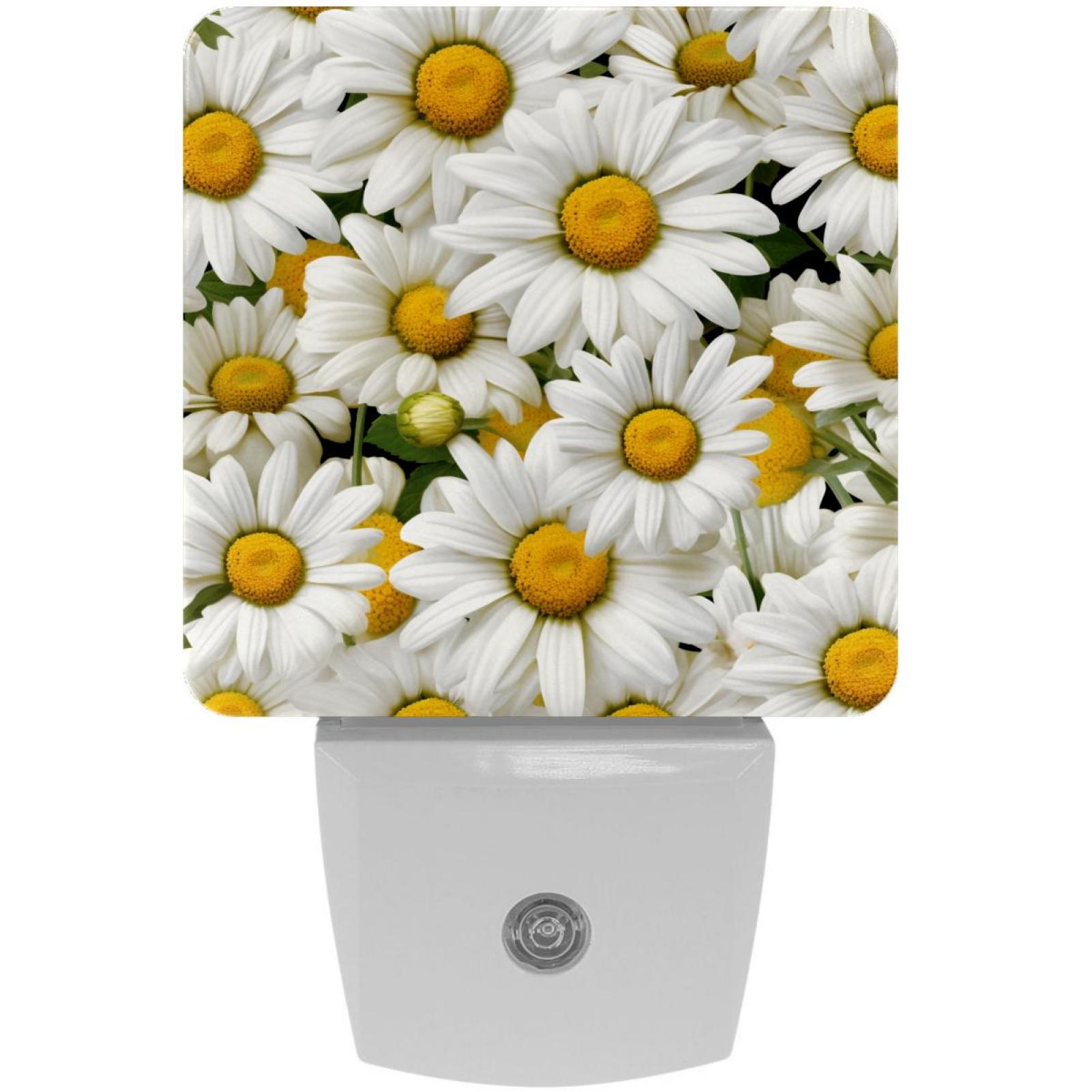 Daisies LED Square Night Light - Energy Efficient and Stylish ...
