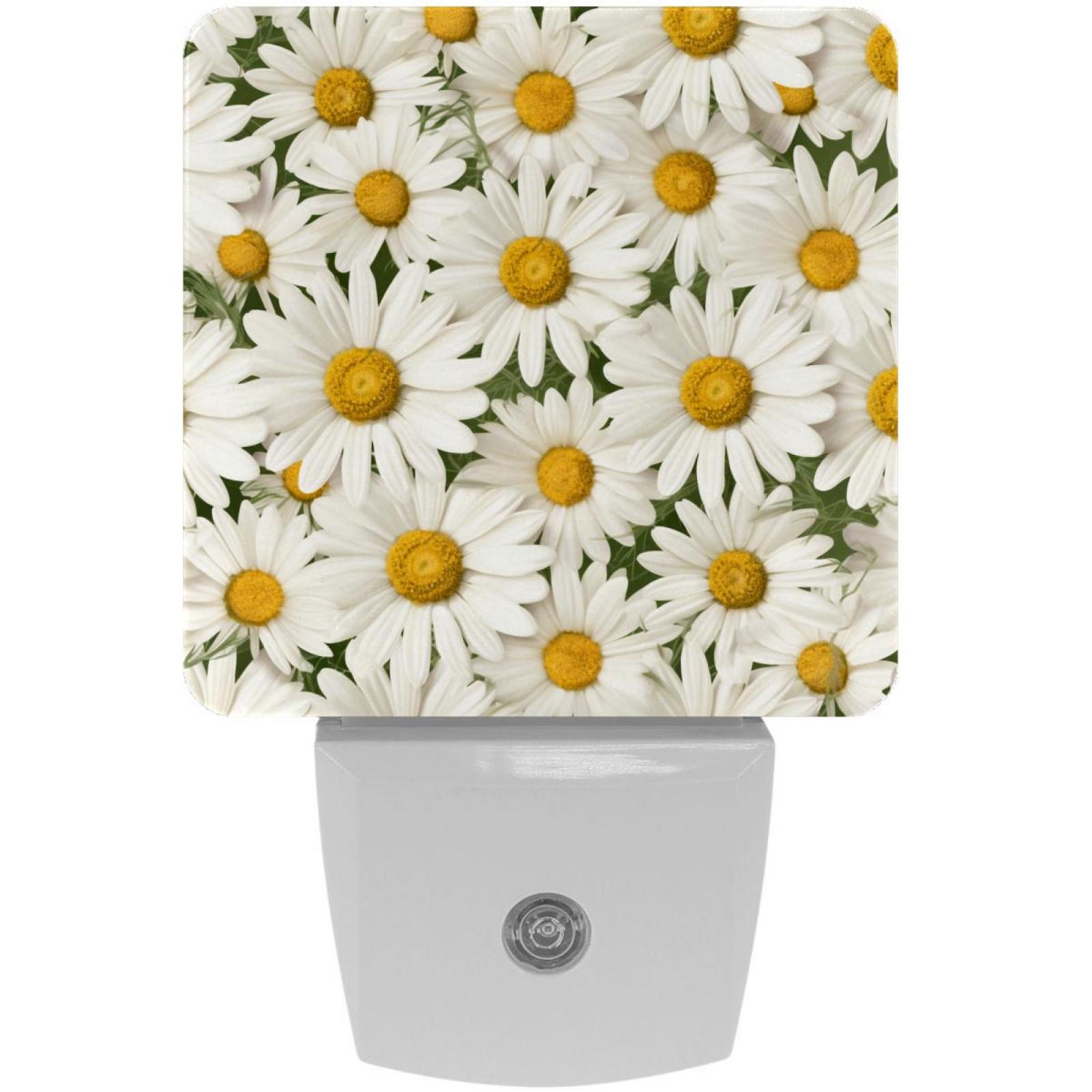 Daisies LED Square Night Light - Small and Bright Square-shaped LED ...