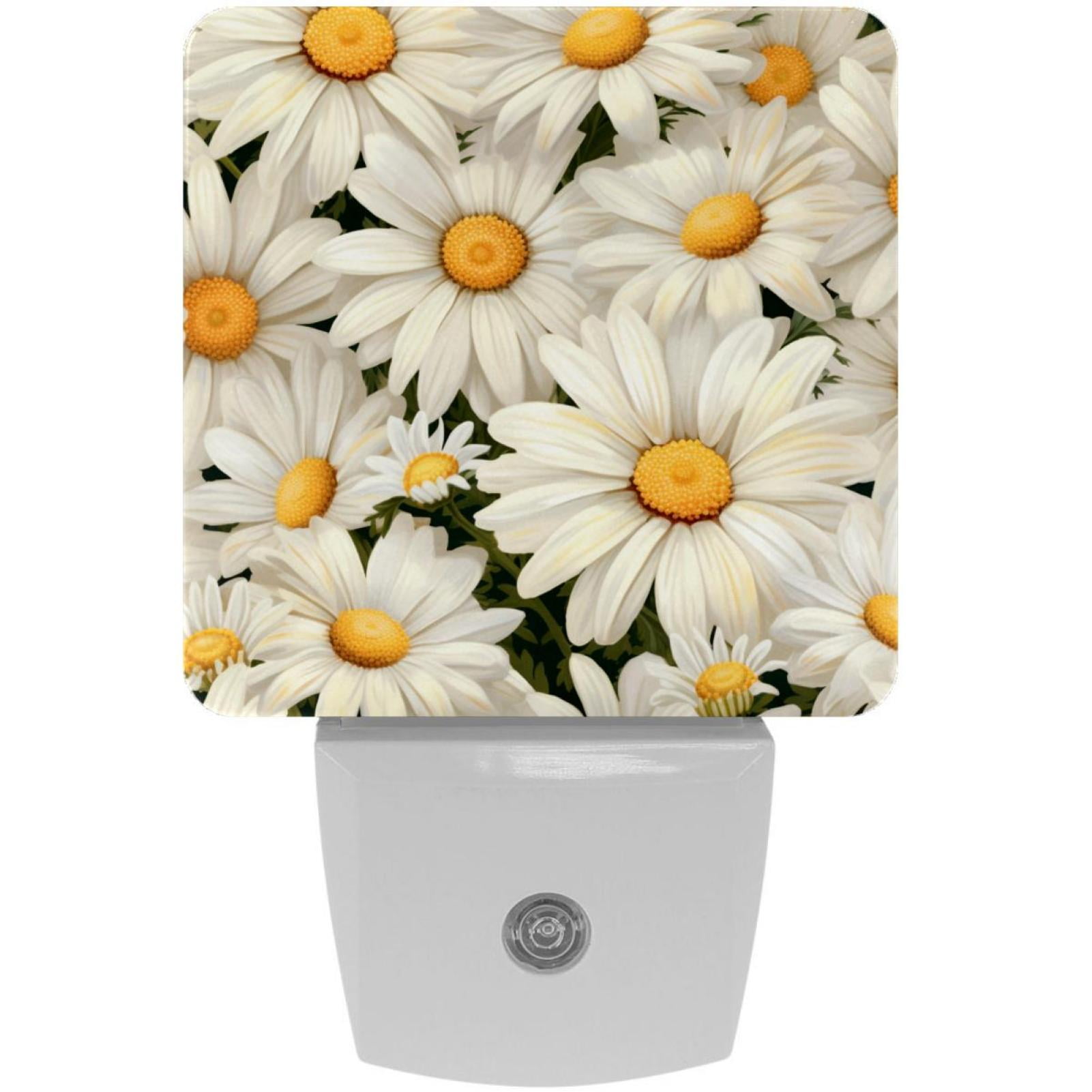 Daisies LED Square Night Lights - Bright and Compact Bedroom or ...