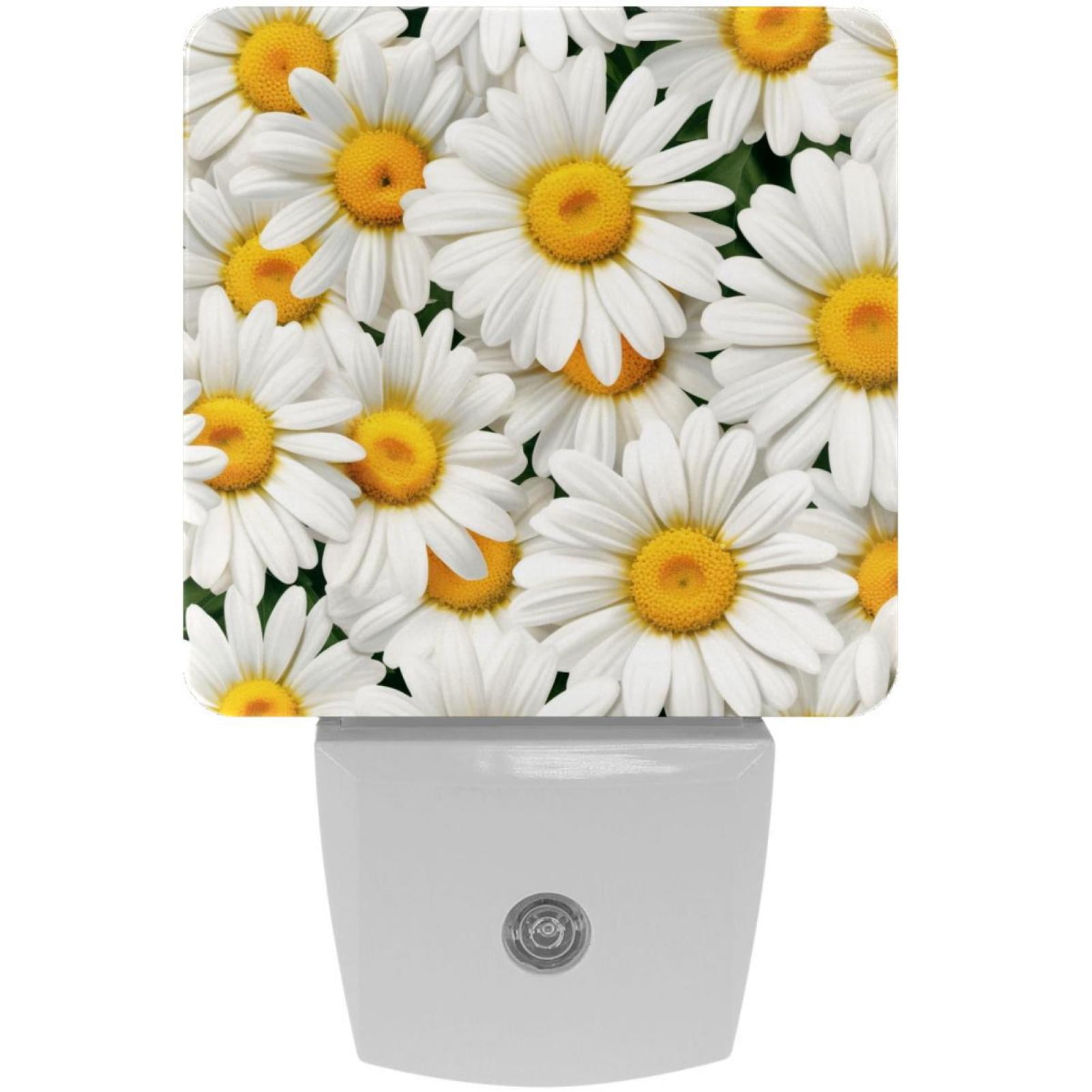 Daisies LED Square Night Lights - Compact and Multifunctional ...