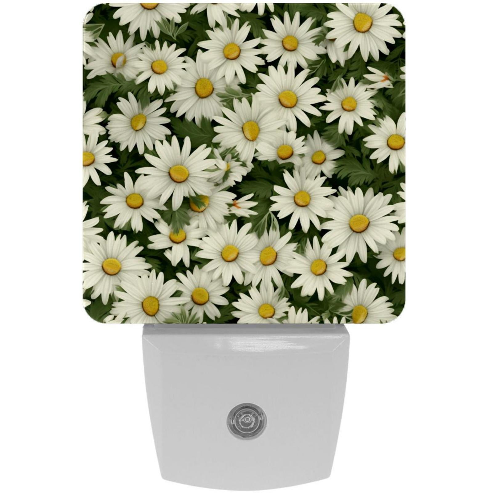 Daisies LED Square Night Lights - Compact and Multifunctional ...