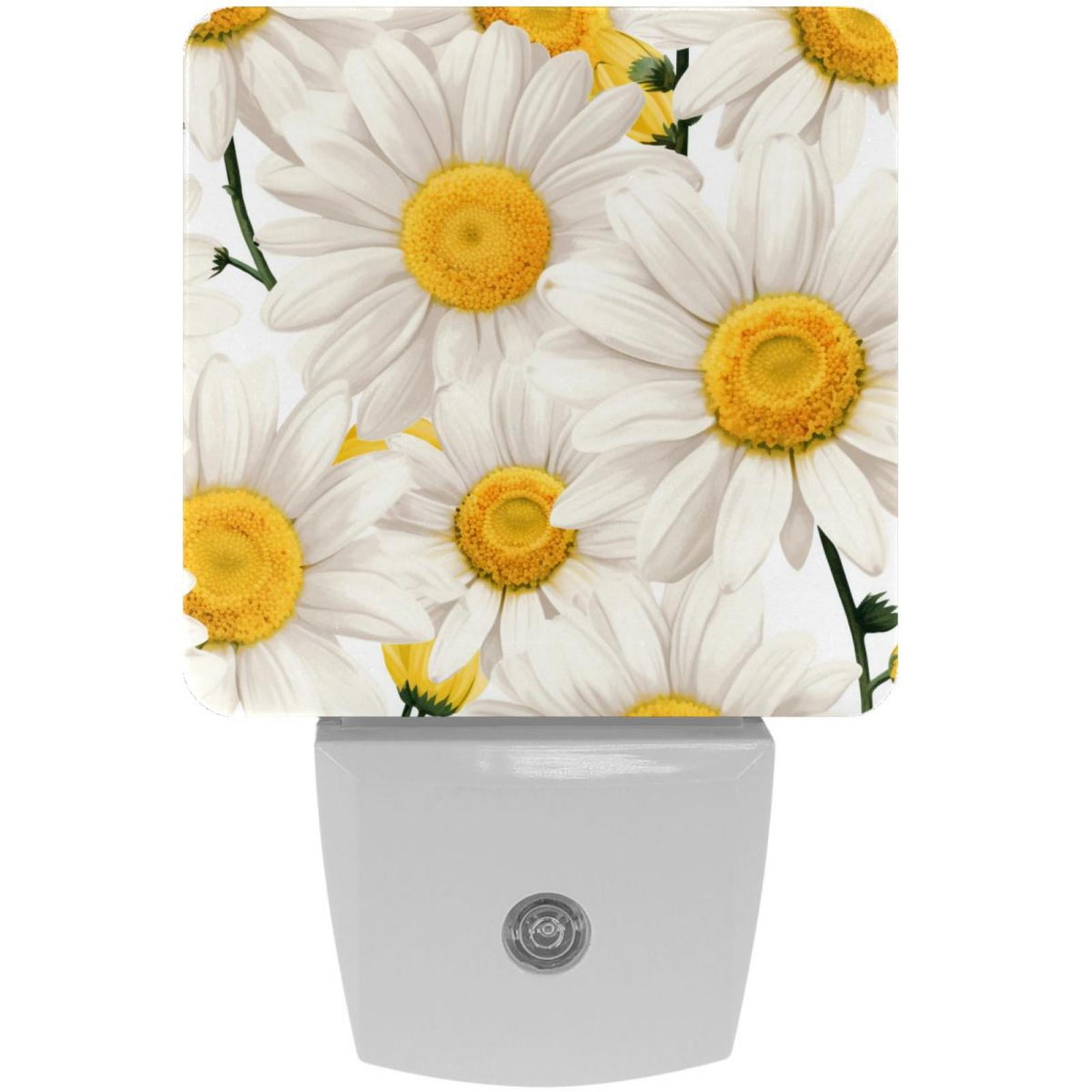 Daisies LED Square Night Lights - Elegant and Energy Efficient Lighting ...