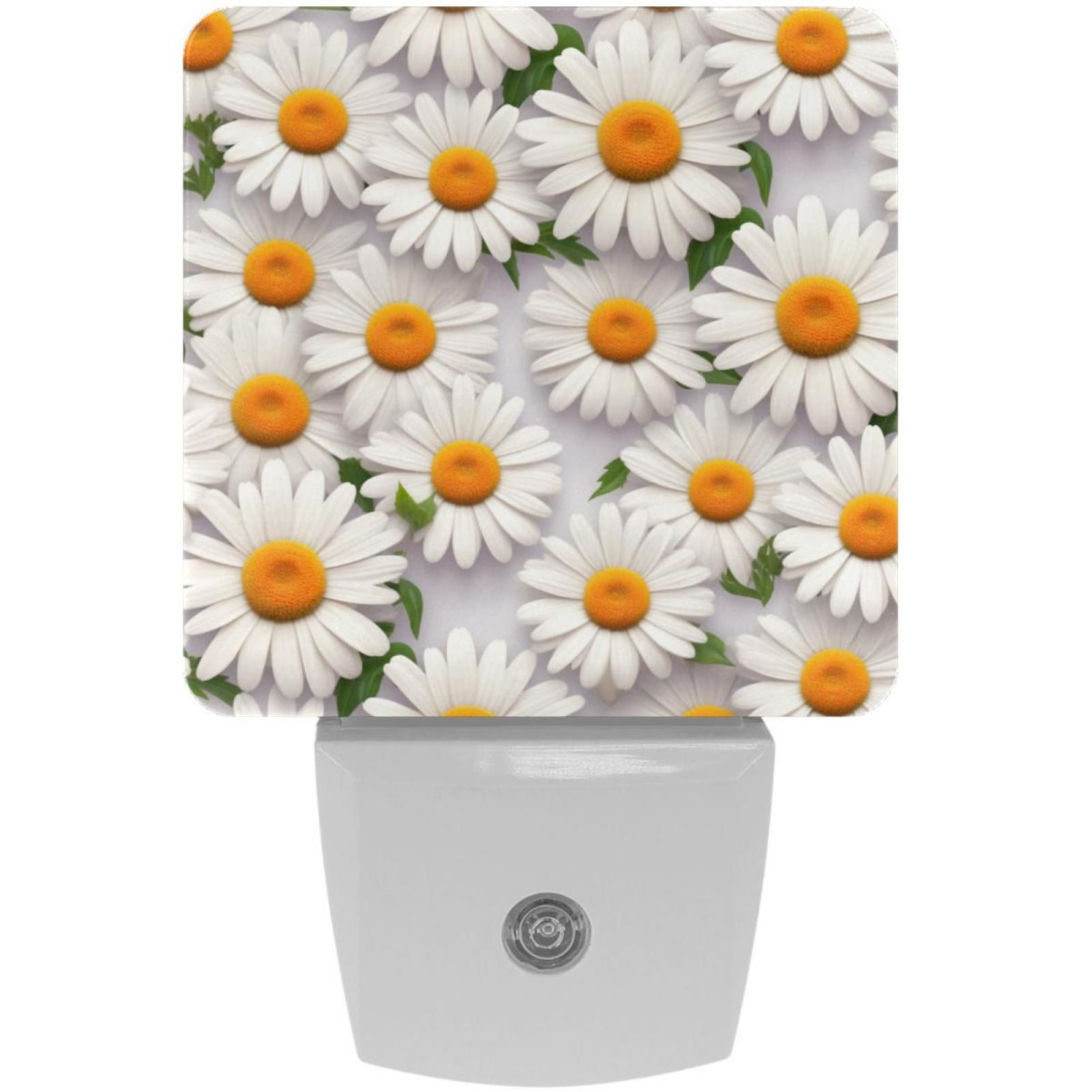 Daisies LED Square Night Lights - Energy Efficient & Elegant Decorative ...