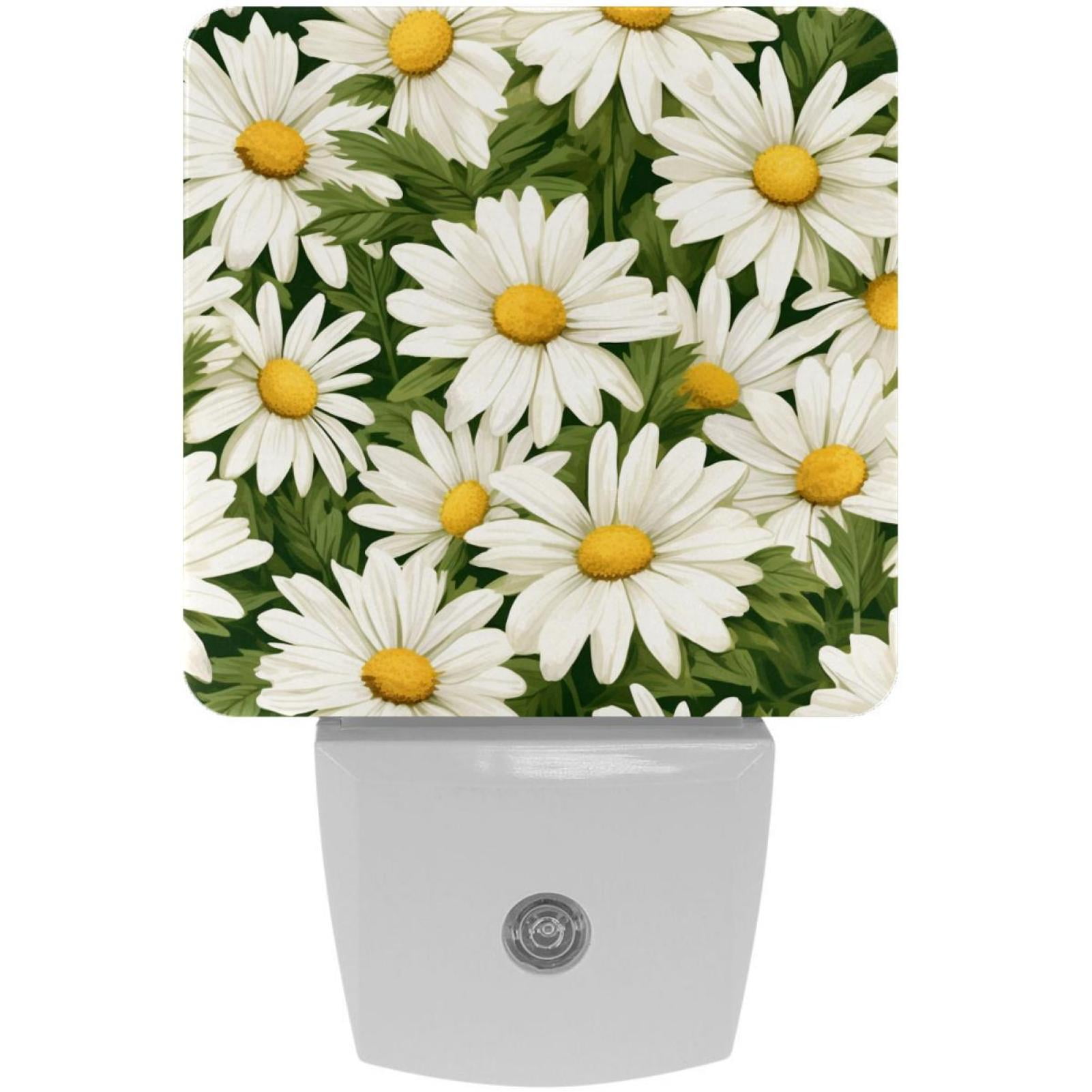 Daisies LED Square Night Lights - Energy Efficient and Sleek Design ...