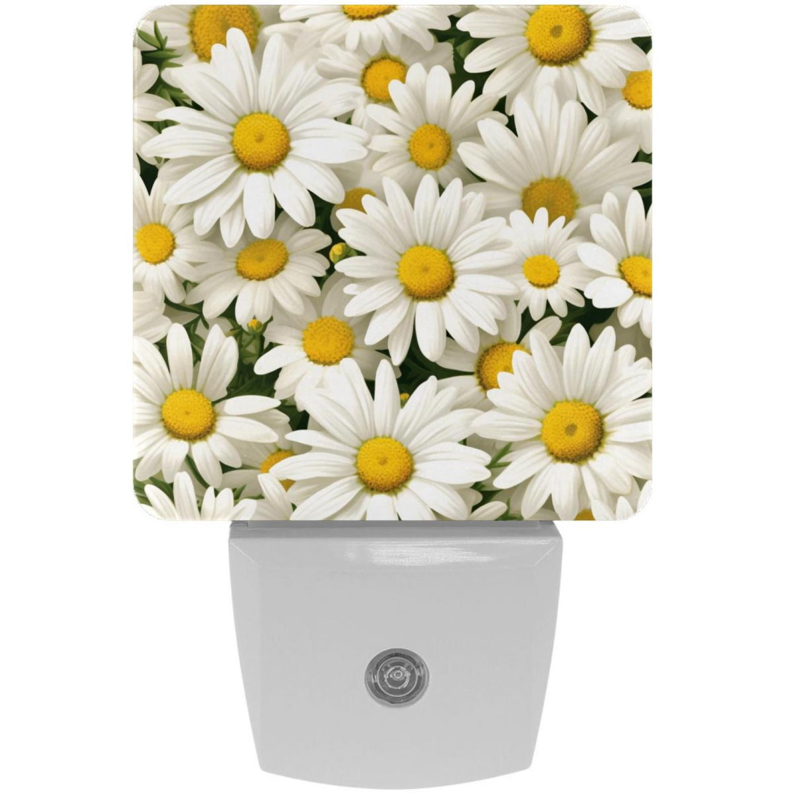 Daisies LED Square Night Lights - Energy Efficient and Stylish Bedroom ...