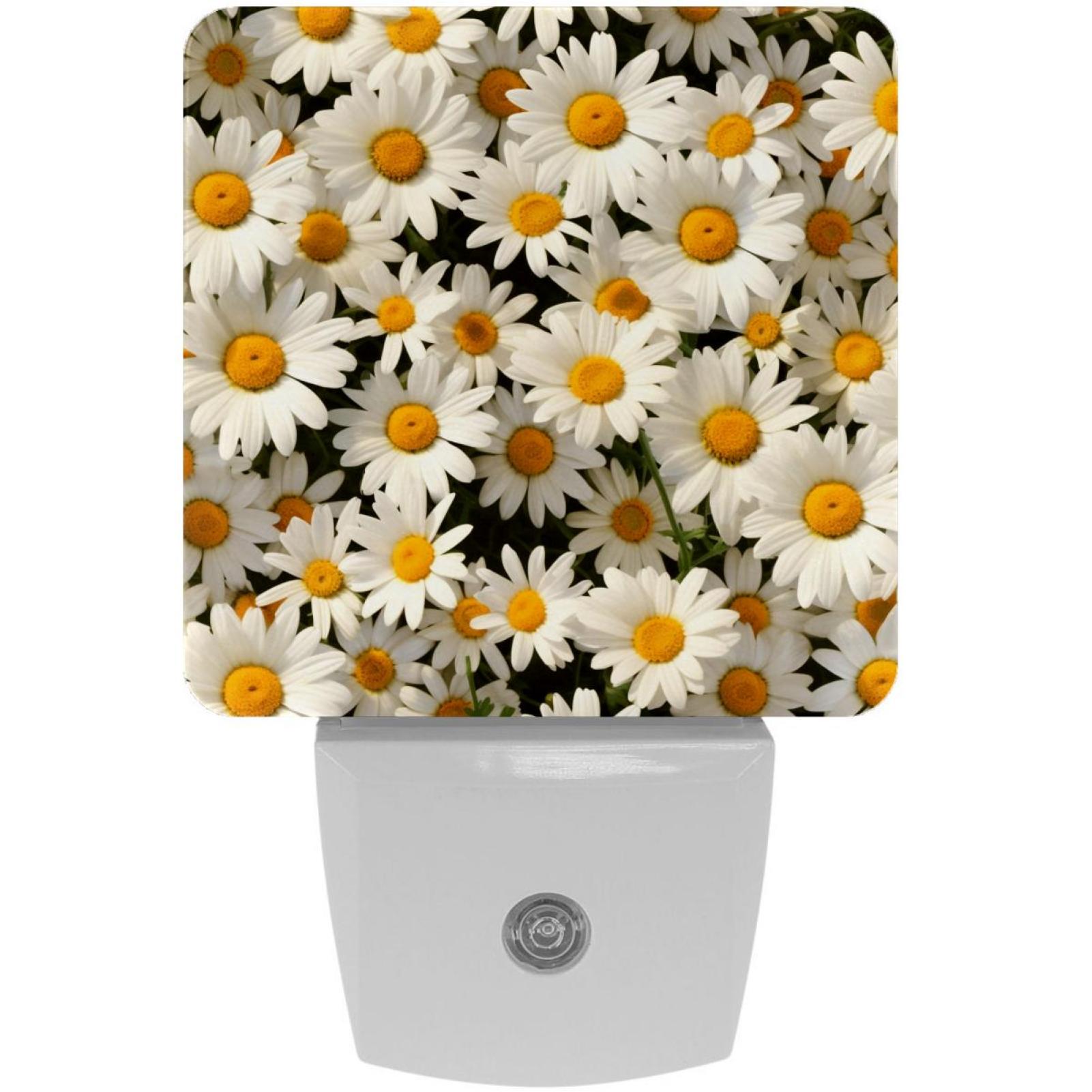 Daisies LED Square Night Lights - Modern Design, Soft Glow, Energy ...