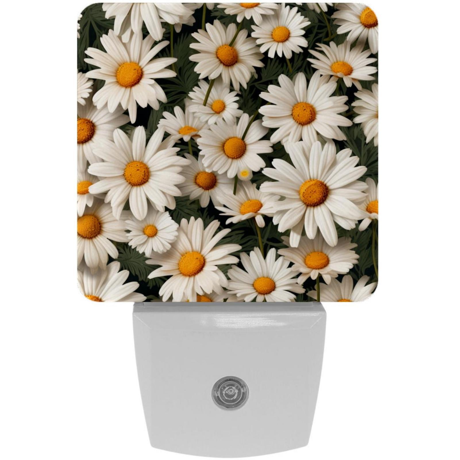 Daisies LED Square Night Lights - Small and Bright Illumination for ...