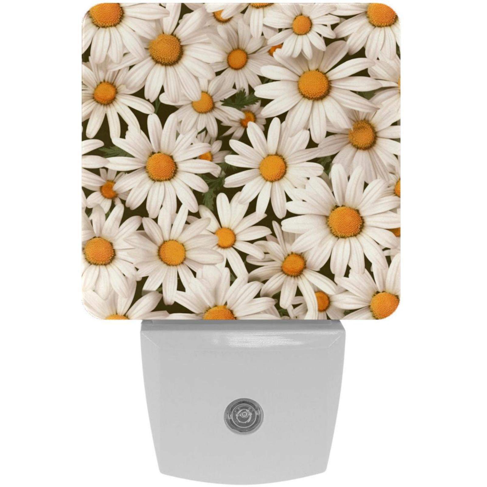 Daisies LED Square Night Lights - Small and Bright Illumination for ...