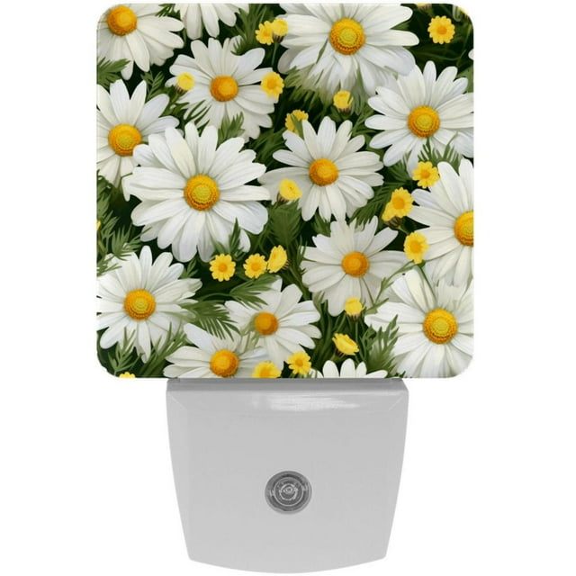 Daisies LED Square Night Lights - Stylish and Energy-Efficient Lighting ...