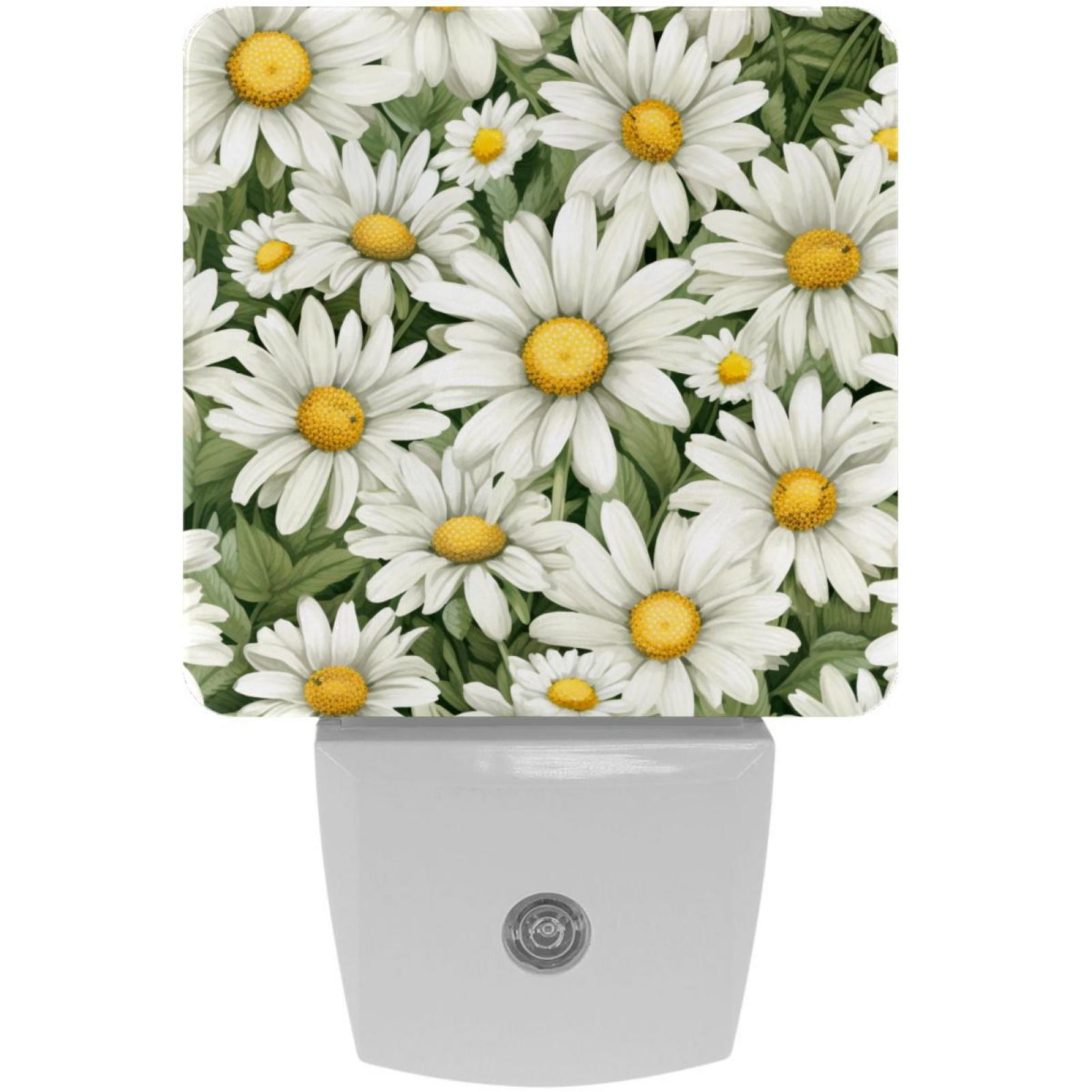Daisies LED Square Night Lights - Stylish and Energy-Efficient Lighting ...